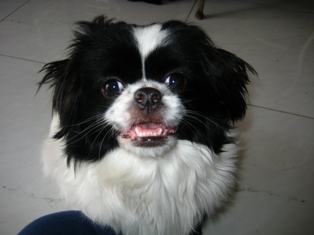 It Will Get Better | Qwry