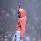 Imaginal Disk | Magdalena Bay