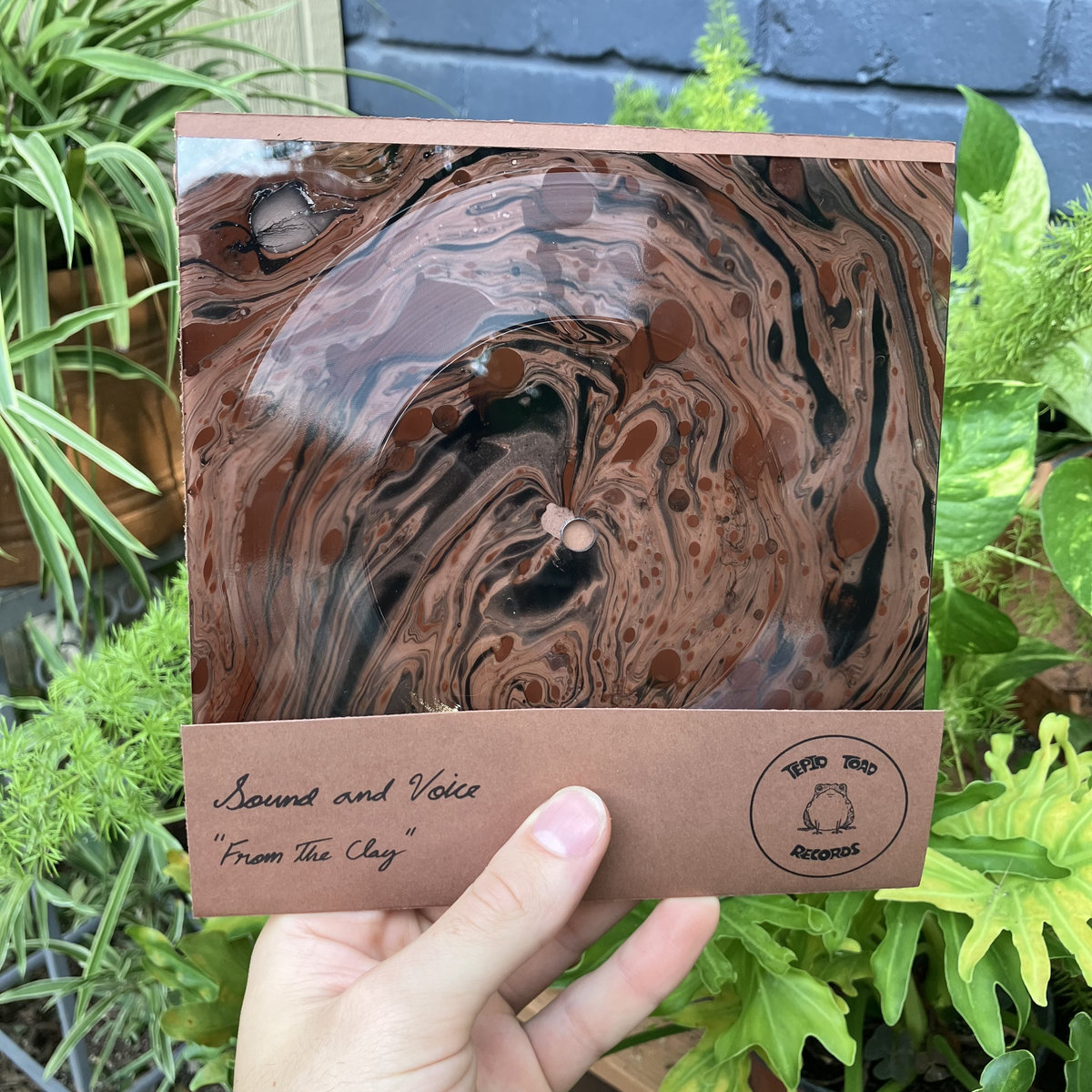 From The Clay | Sound and Voice | Tepid Toad Records