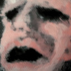 Terrifyer | Pig Destroyer