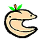 The New 4lung Album | 4lung | RAWRDCORE RECORDS