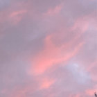 Spirit Phone | Lemon Demon | Needlejuice Records