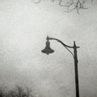 The Lamb As Effigy | Sprain