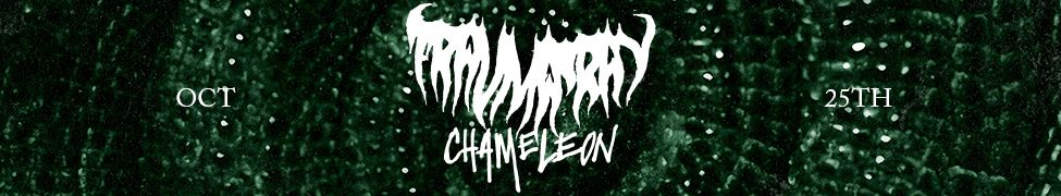 Transmissions | trauma ray