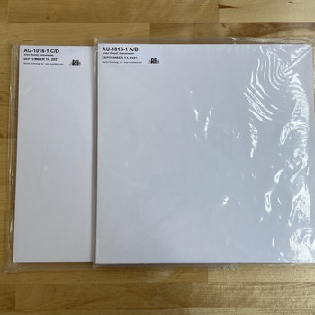 A Comprehensive Guide to the Arthur Russell Catalogue | Bandcamp Daily