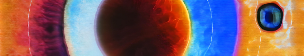 Shaker Notes | Paul White