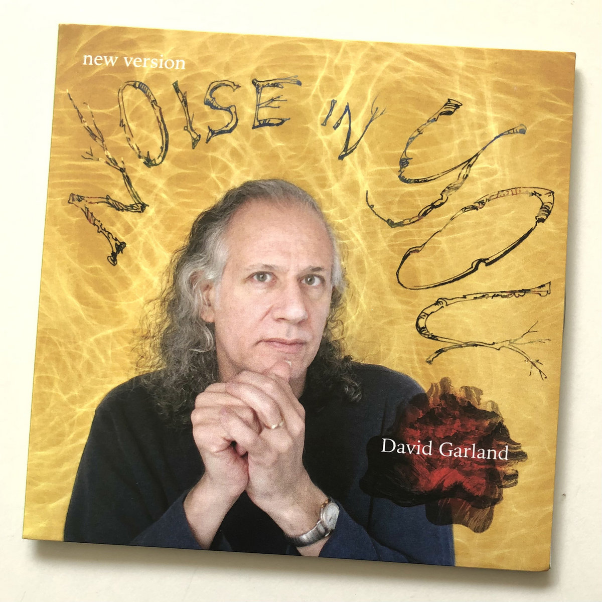 Noise In You (new version) | David Garland