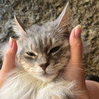 nothing | Louis Cole (with Metropole Orkest & Jules Buckley) | Louis cole