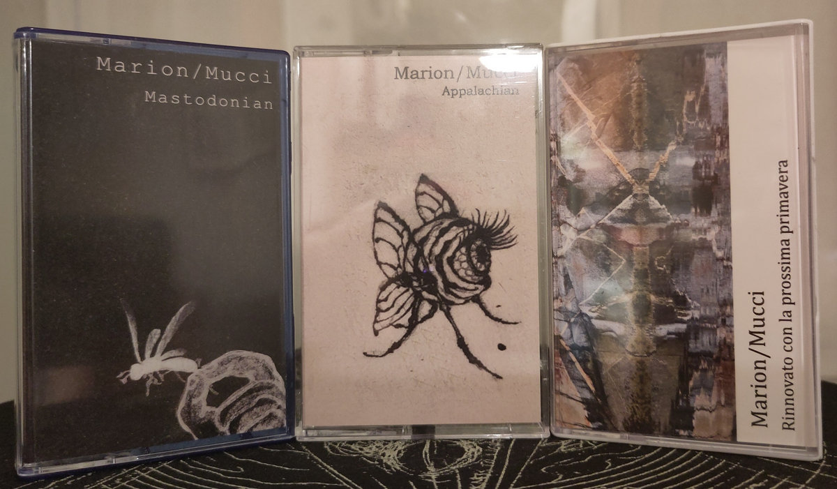 Appalachian | Marion/Mucci | Tall House Recording Co.