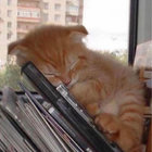 Sewerslvt Presents: Cynthoni, Pt. 1 - EP | Cynthoni