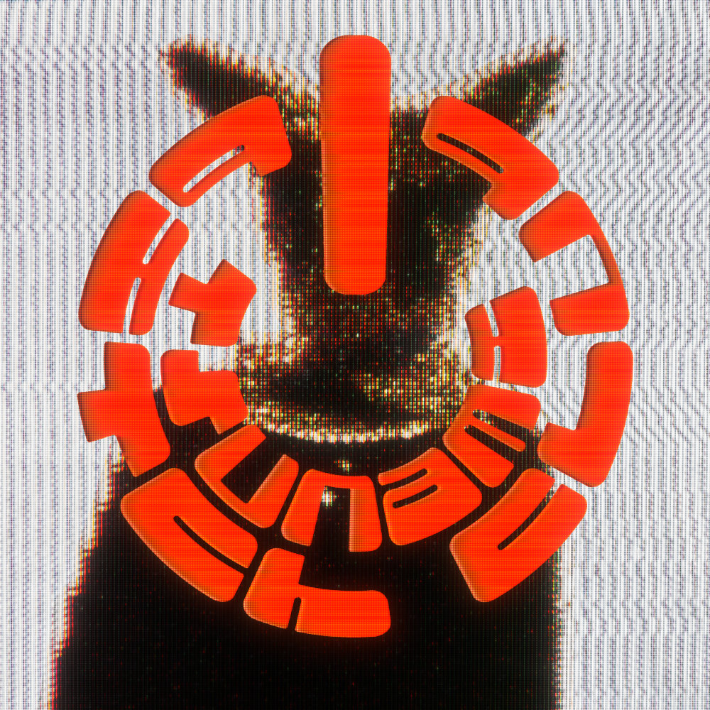 laced up | tsubi club