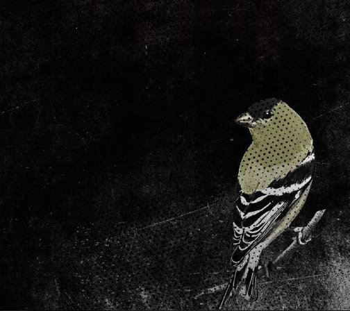 We Won't Break (feat. Jon of Empire Down) | Picket Line