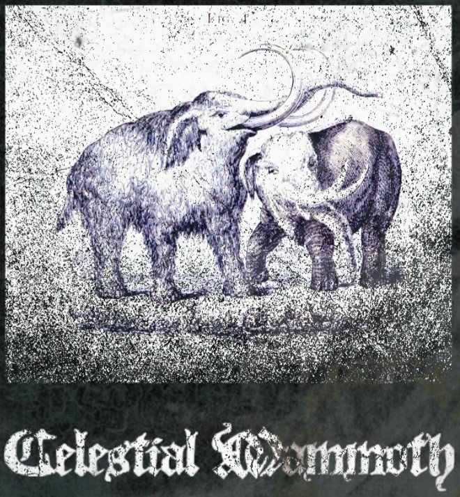 The Wizards' Tomes Volume I: The Green Wizard | Celestial Mammoth