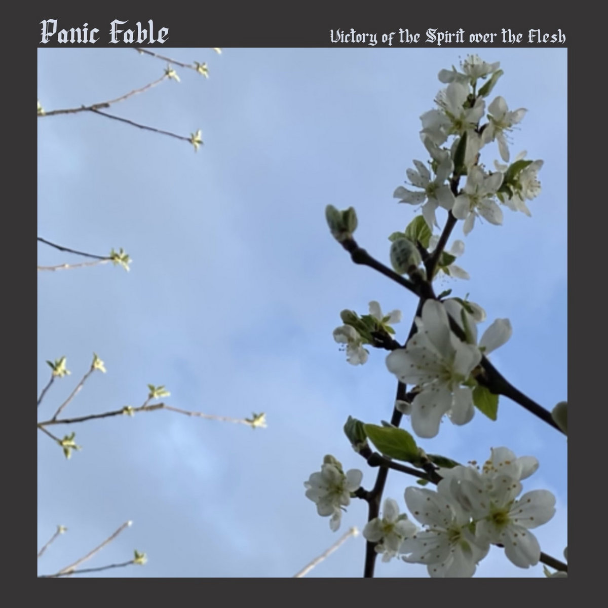 Victory of the Spirit over the Flesh | Panic Fable