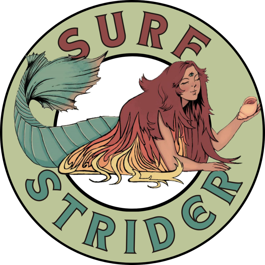Surf Strider Band Live! at the Parrot | Surf Strider