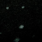 SPEEDCORE DANDY XXX (2003 Album) | m1dy