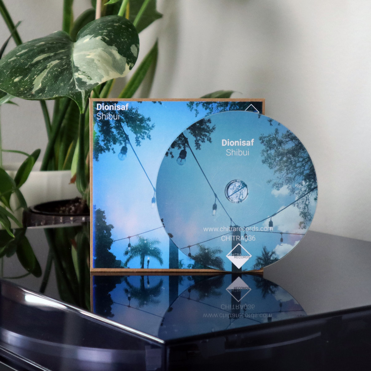 Shibui | Dionisaf | Chitra Records
