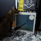 Another Light | Red Vox | Vine