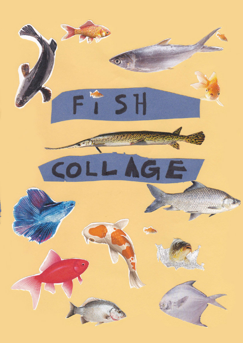 Fish Collage | Fish Collage