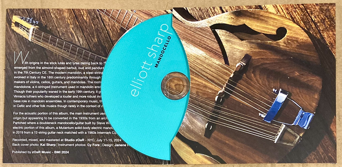 Mandocello | Elliott Sharp