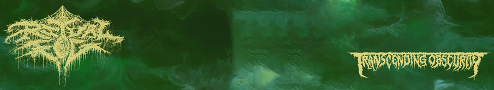 But Merely Flesh | RITUAL FOG | Ritual Fog