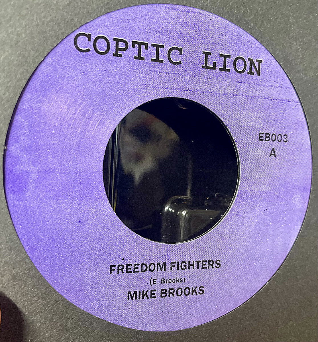 FREEDOM FIGHTER | MIKE BROOKS MEETS SHAOLIN | conscious sounds