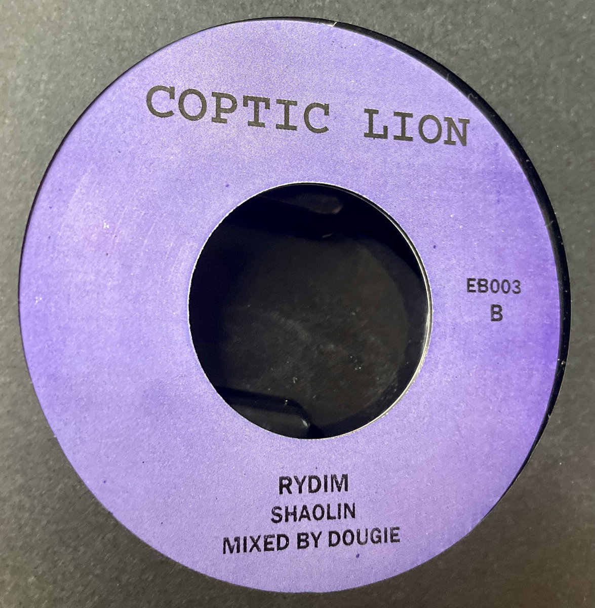 FREEDOM FIGHTER | MIKE BROOKS MEETS SHAOLIN | conscious sounds