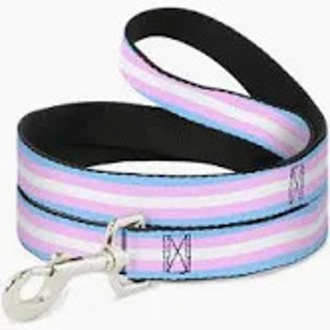 fag wall | hot topic transgender flag dog leash