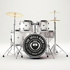 Music | The Skills Band