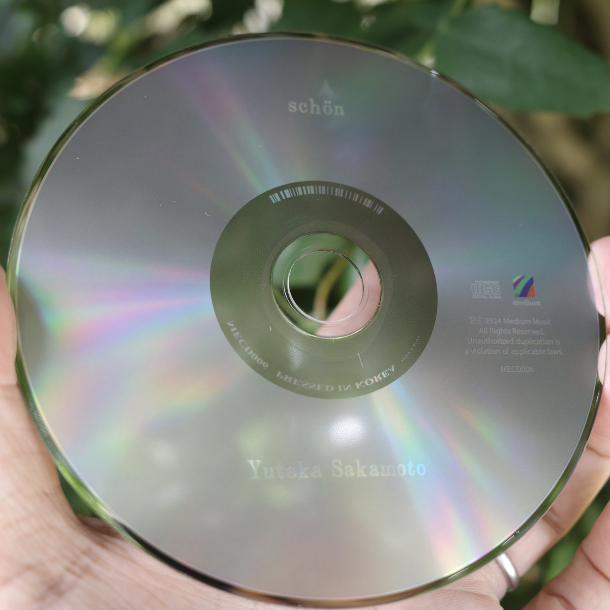 schön | Yutaka Sakamoto | medium