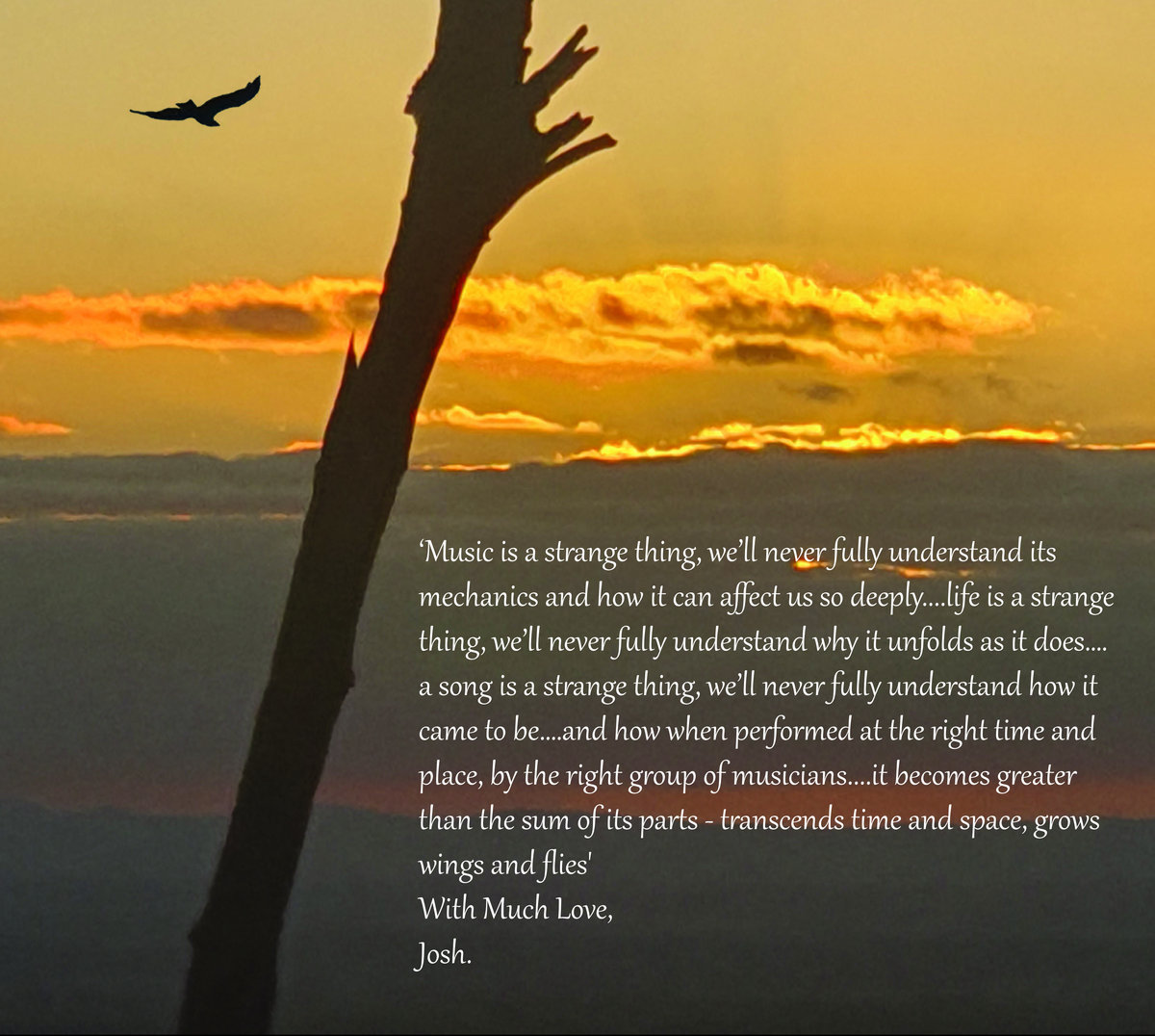 Half Light Dreamer | Josh Light and The Unfurling