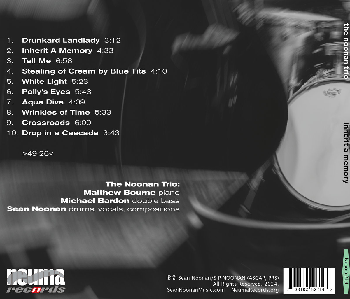 Inherit a Memory | The Noonan Trio | Sean Noonan Music