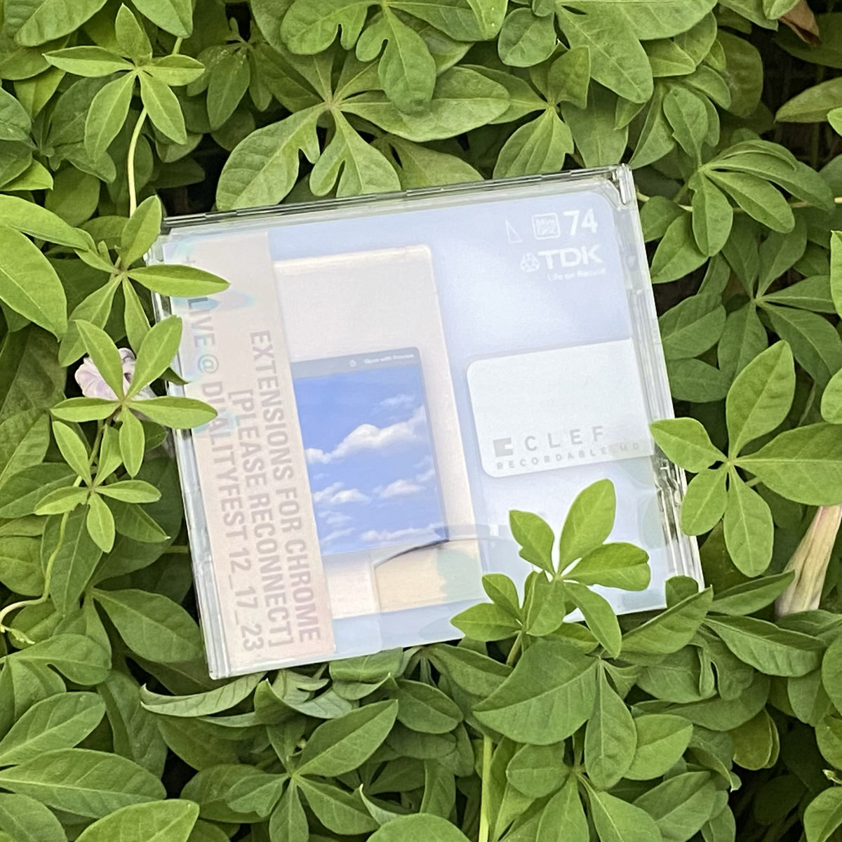 please reconnect | extensions for chrome | ULTRAVIOLET-FUTURE