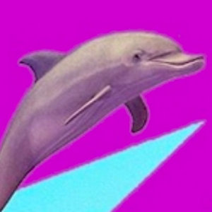 Music | princess erin