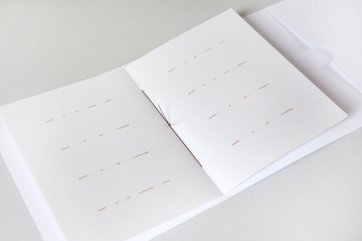 Bearer | Richard Skelton | Aeolian