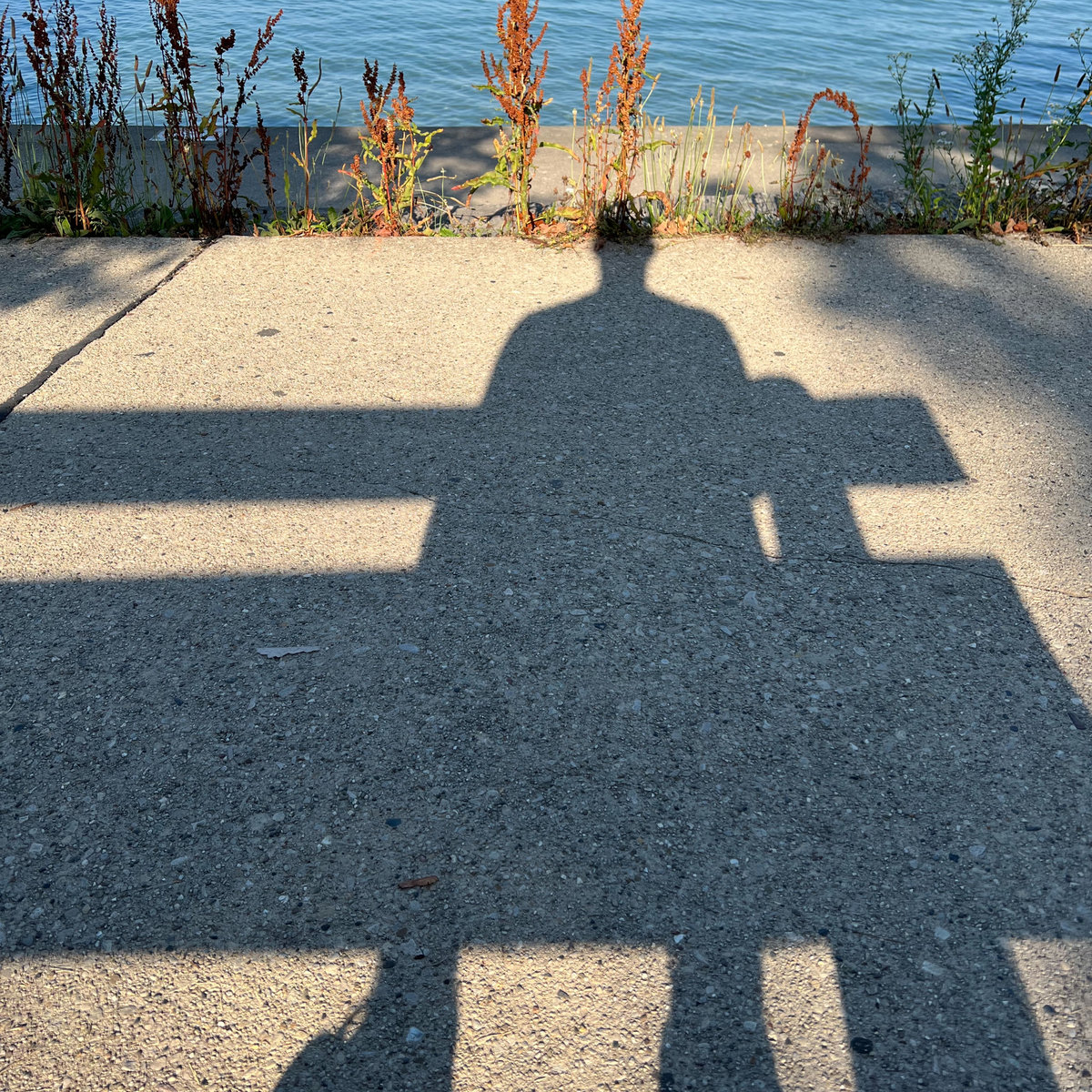Farewell, Farwell | Dan Welsh