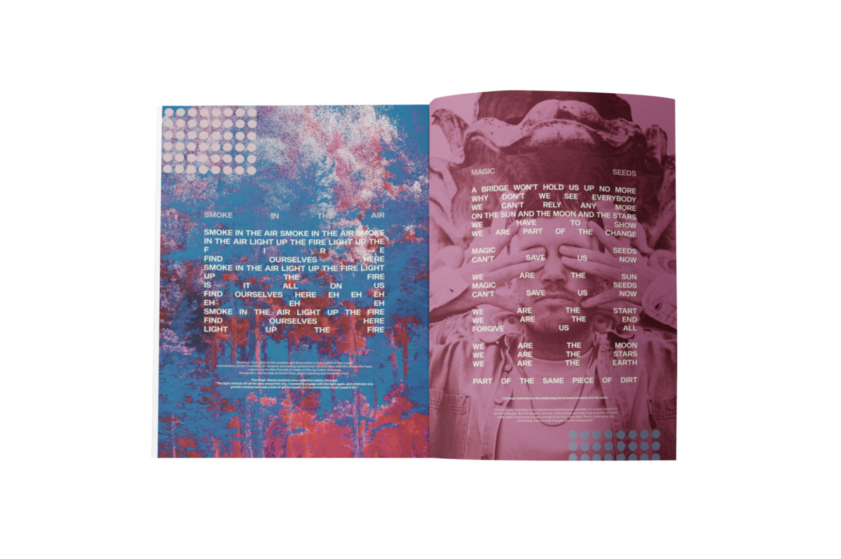 Magic Seeds | Leifur James