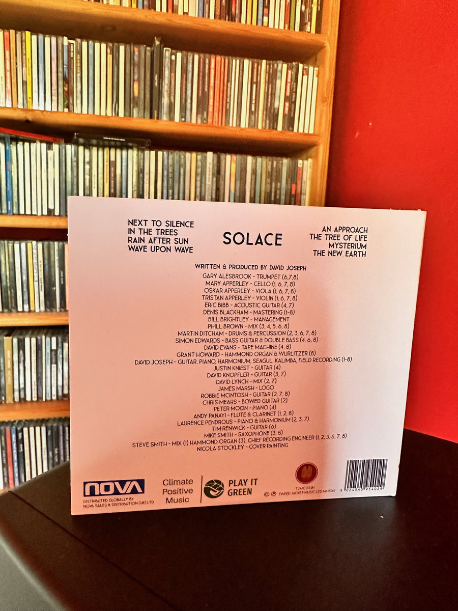 Solace | Held By Trees