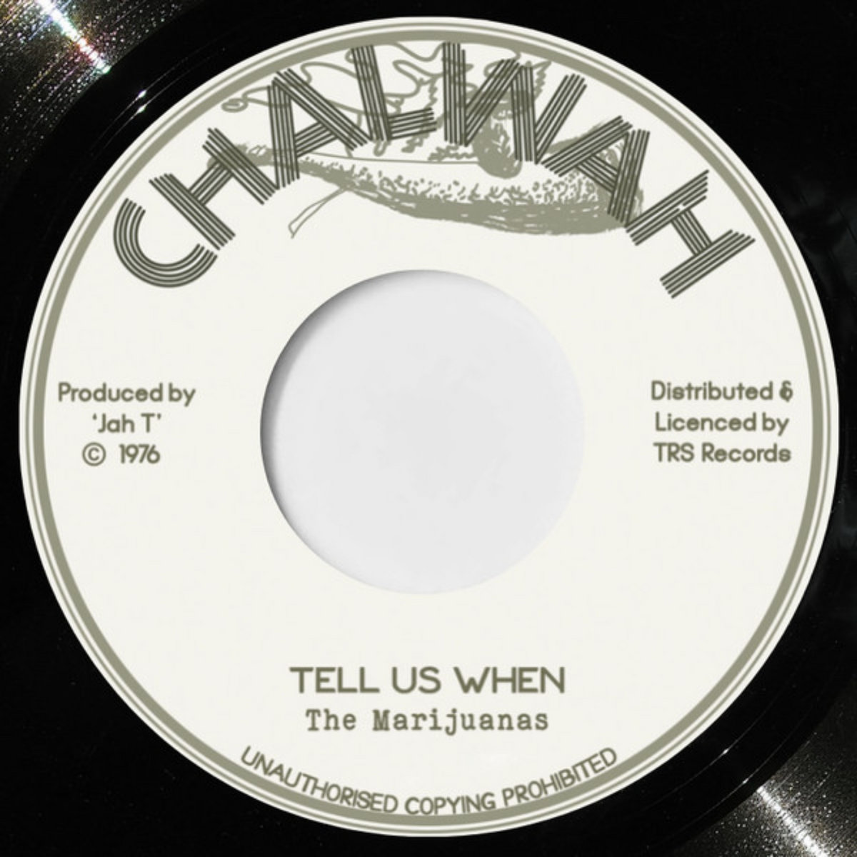 THE MARIJUANAS - Tell Us When | TRS Records