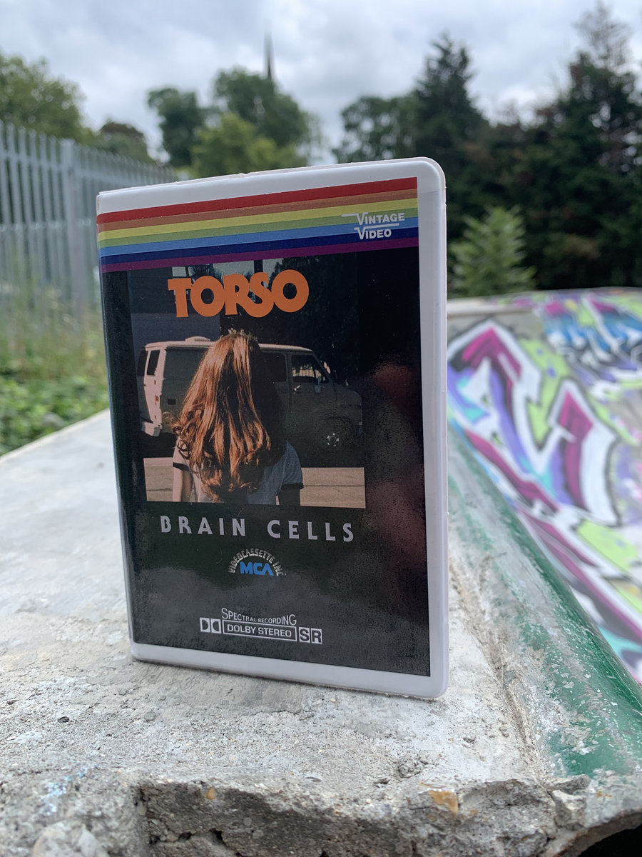 Brain Cells | TORSO