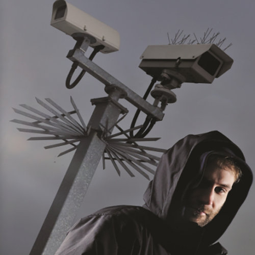 Deep Forest | Chronicle