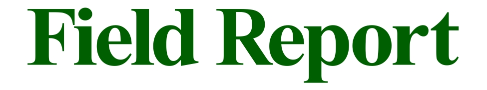 Field Report | Field Report