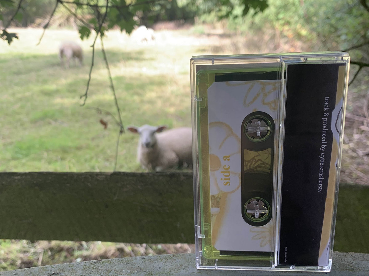 A Lonely Sinner | samlrc | Plantasia Records