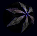ANY | 4LL