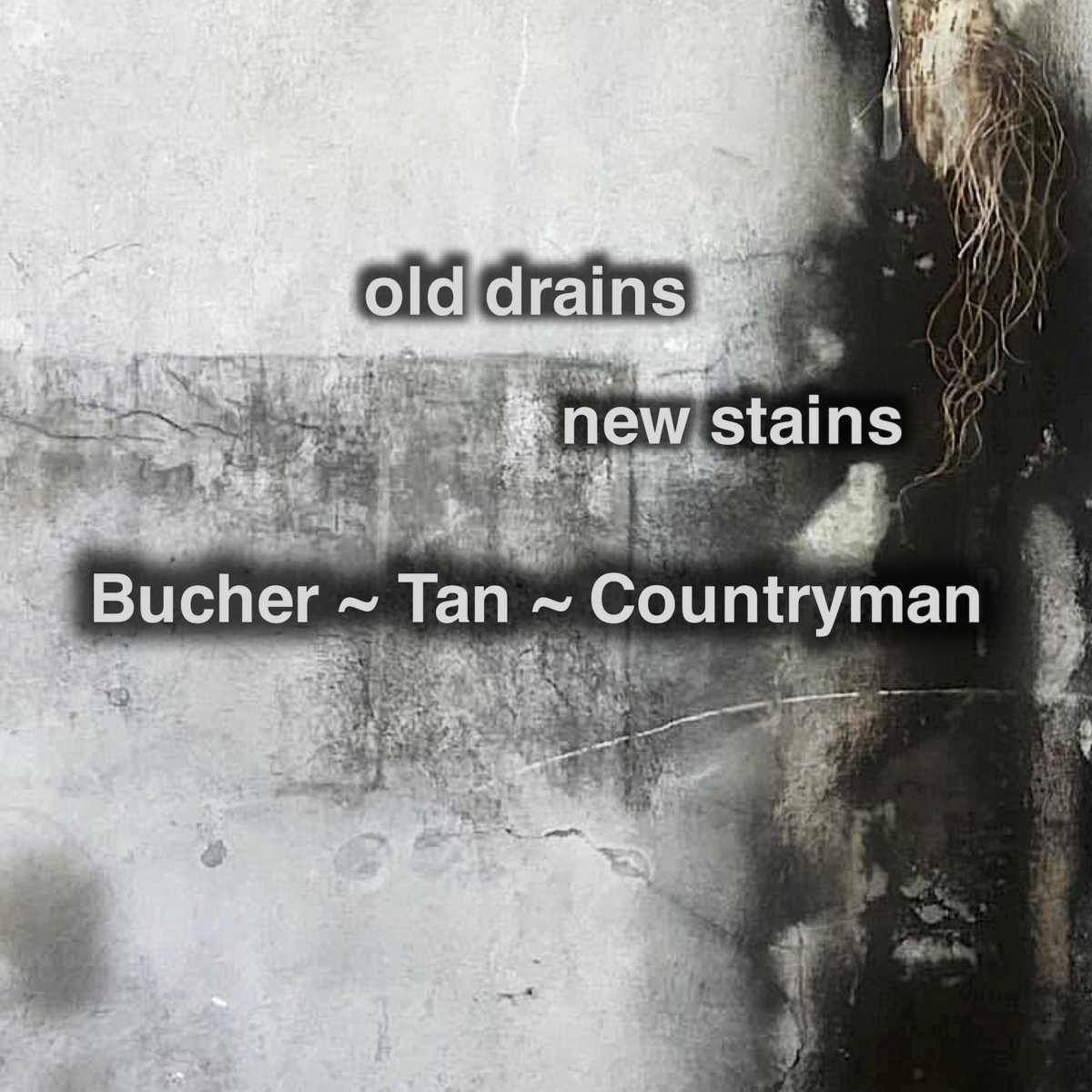 old drains, new stains | Bucher-Tan-Countryman | Rick Countryman