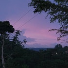 Hyper Light Drifter | Disasterpeace | BLUDHONEY RECORDS