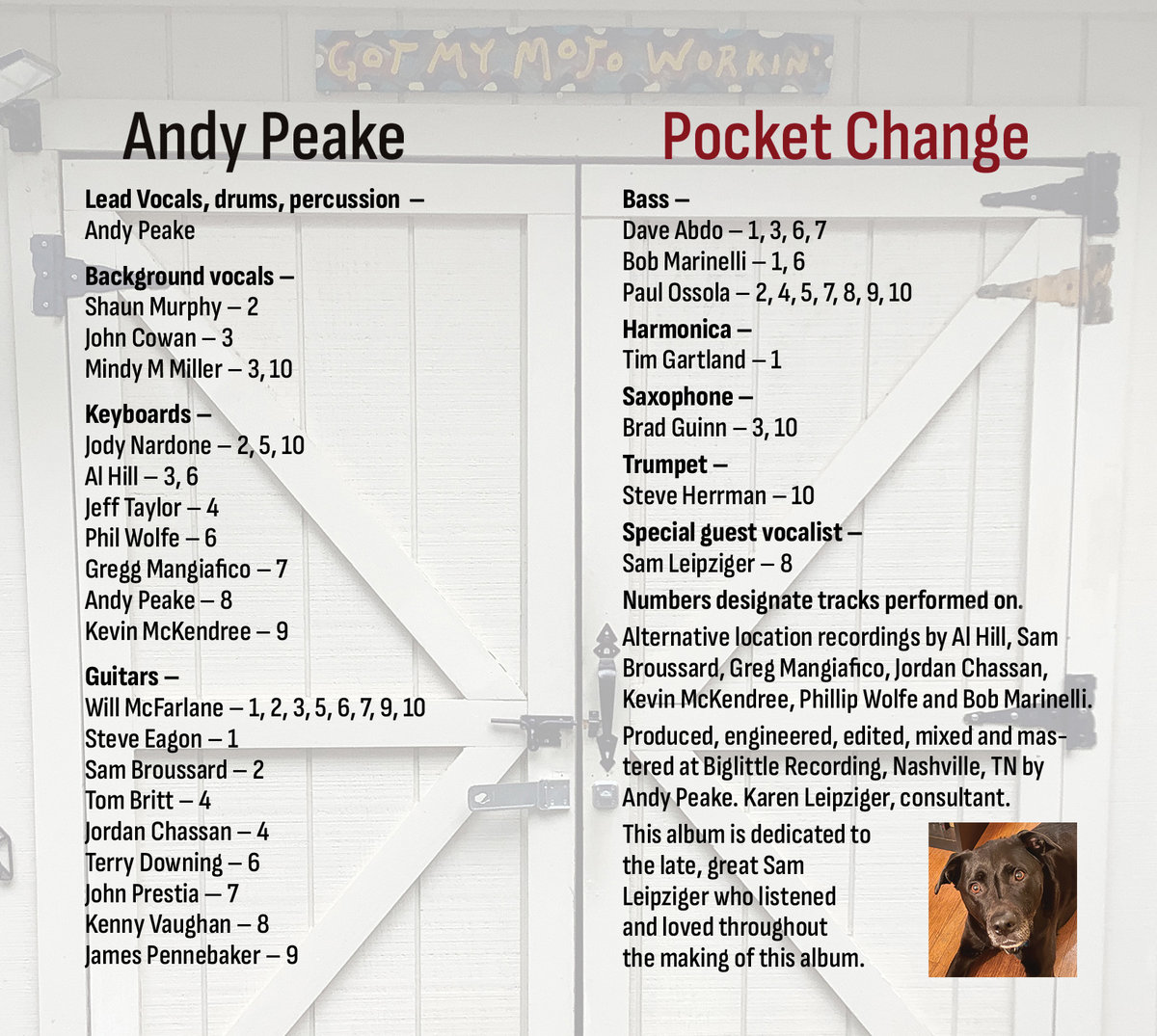Pocket Change | Andy Peake