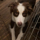 A Pyrrhic Existence | Esoteric