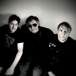 Merch | Shady Brain Farm