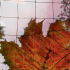 Cascade | Floating Points